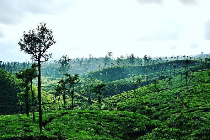 Hill Station Tour from Coimbatore to Valparai - 2 days - Introduction