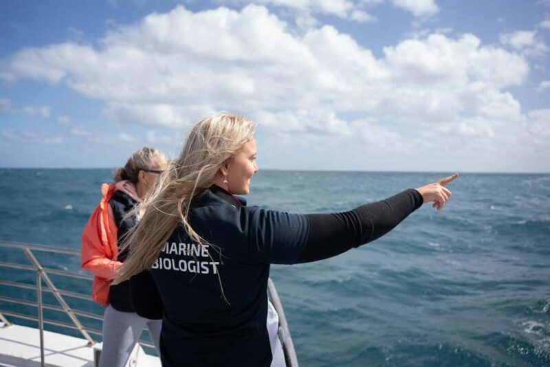 Hillarys Boat Harbour 2-Hour Whale Watching Cruise - 09:00am - An Overview of the Whale Watching Experience