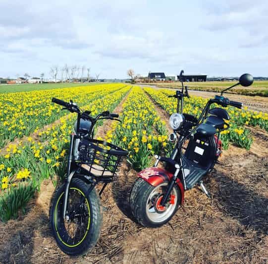 Hillegom: E-Scooter or E-Bike Rental in the Bulb Region - A Practical Guide to the Experience