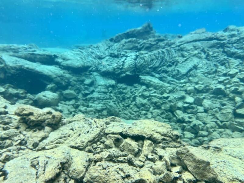 Hilo: 2 Tank Remote Reefs Diving Trip with Snacks and Drinks - An Overview of the Experience