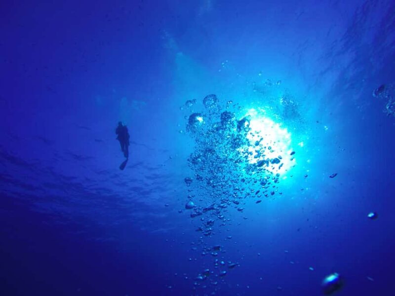 Hilo: 2 Tank Remote Reefs Diving Trip with Snacks and Drinks - The Dive Experience and Group Dynamics