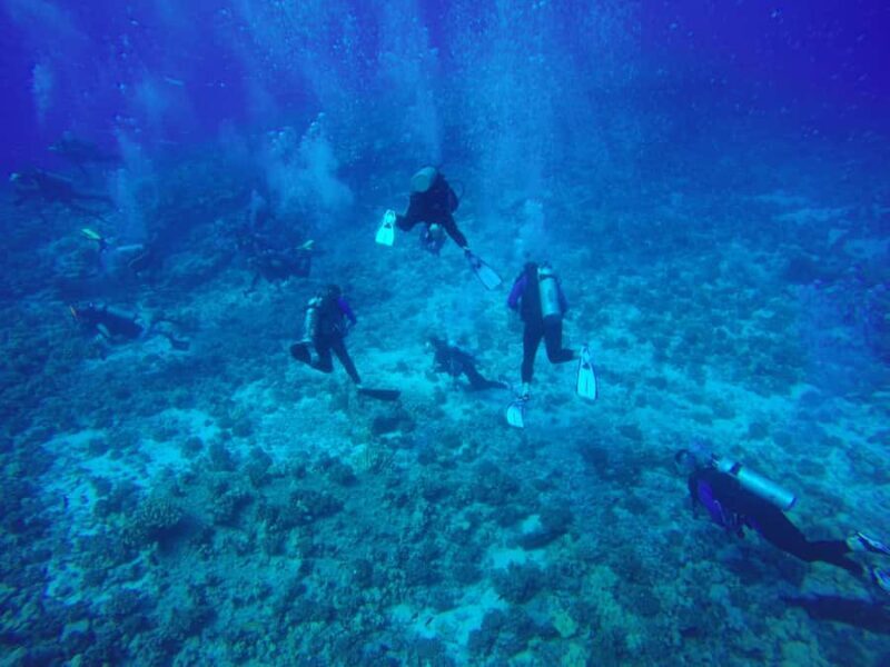 Hilo: 2 Tank Remote Reefs Diving Trip with Snacks and Drinks - Analyzing the Value and Cost