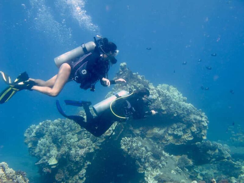 Hilo: 2 Tank Remote Reefs Diving Trip with Snacks and Drinks - Who Will Love This Tour?