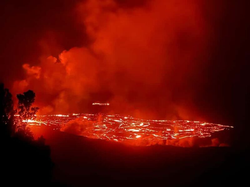 Hilo: Akaka Falls, Volcanoes, and Onomea Bay Guided Tour - What the Reviews Say