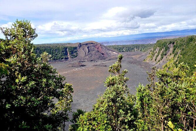 Hilo and Volcano National Park Tour a Cruise Ship Excursion w/PU - What Do Reviewers Say?