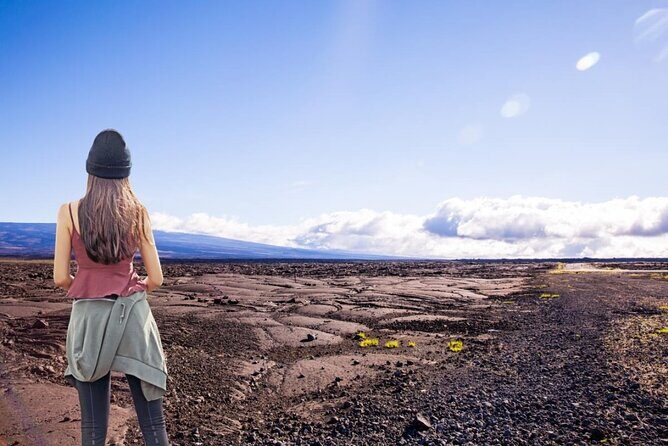 Hilo and Volcano National Park Tour a Cruise Ship Excursion w/PU - Who Is This Tour Best For?