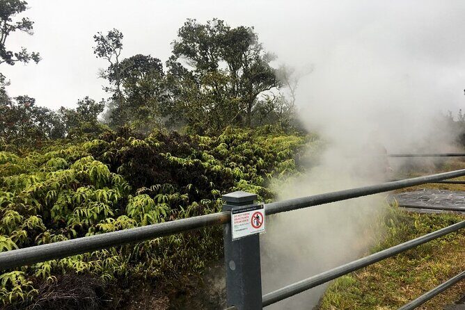 Hilo and Volcano National Park Tour a Cruise Ship Excursion w/PU - FAQ