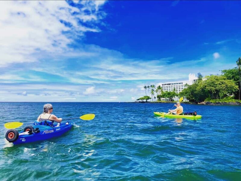 Hilo Bay & Coconut Kayak Adventure - Key Points