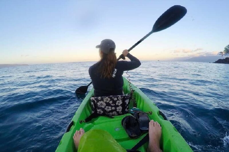 Hilo Bay & Coconut Kayak Adventure - Practical Details and Value