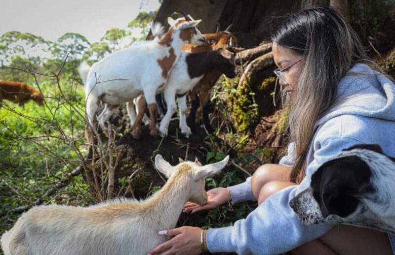 Hilo: Big Island Family Farm & Culture UTV Experience - A Deep Dive into the Big Island Family Farm & Culture UTV Experience