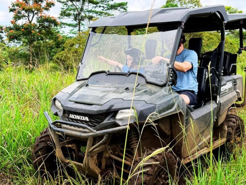 Hilo: Big Island Family Farm & Culture UTV Experience - The Value of This Experience