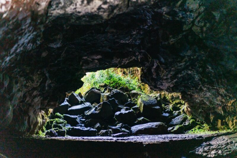 Hilo: Elite Volcano Hike - Who Would Love This Tour?