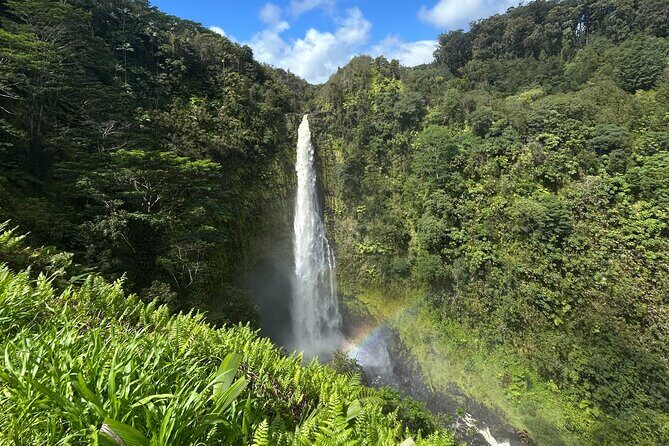 Hilo Excursion Volcanoes Akaka Falls And Black Sand Beach - An In-Depth Look at the Experience