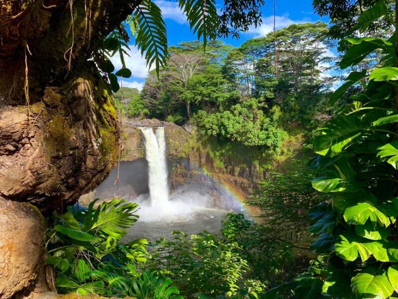Hilo: Hawaii Volcanoes National Park and Hilo Highlights - A Deep Dive Into the Experience
