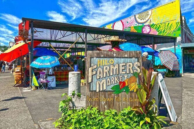 Hilo Highlights Private Sightseeing Tour - Who Would Love This Tour?