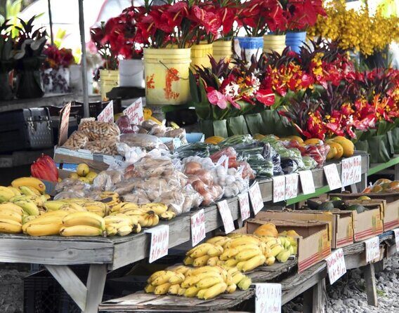Hilo History and Legends (APP) Audio Self Guided Walking Tour - A Detailed Look at the Hilo History and Legends Self-Guided Tour
