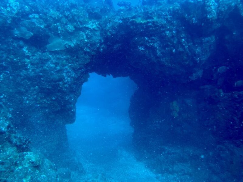 Hilo: Night Dive for Certified Divers - Key Points