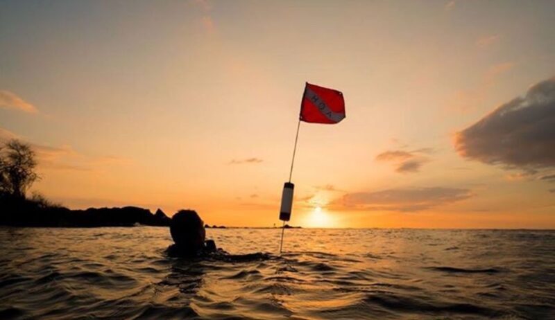 Hilo: Night Dive for Certified Divers - A Deep Look at the Hilo Night Dive Experience