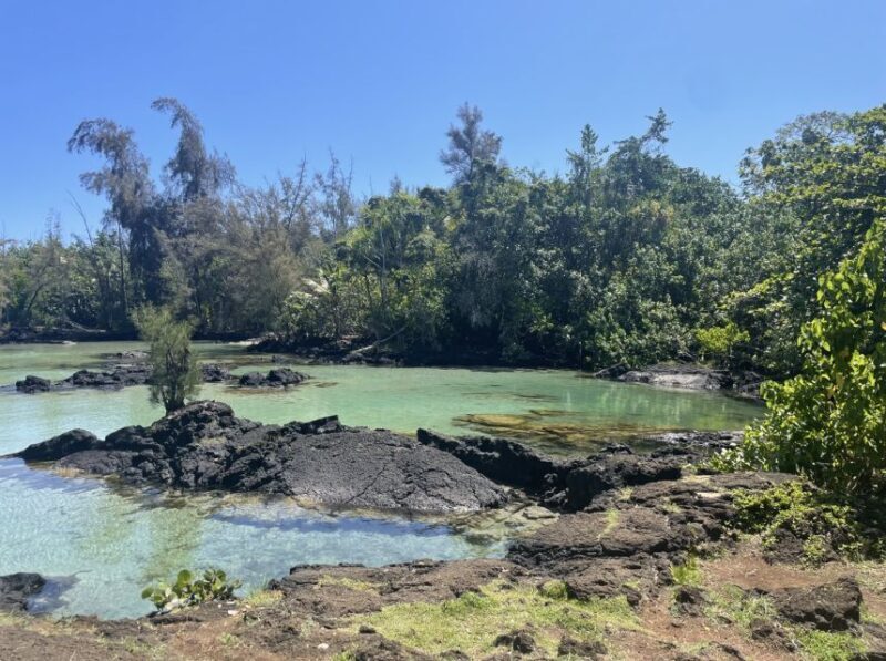 Hilo: Sea Turtle Lagoon and Black Sand Beach Snorkel - FAQs