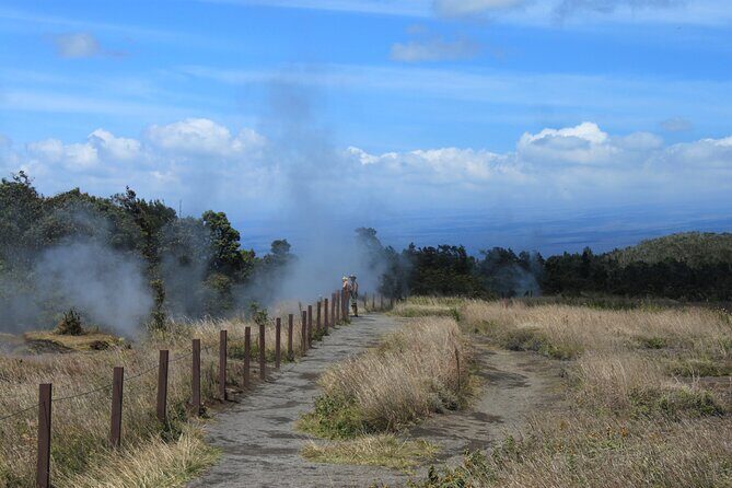Hilo Shore Excursion: Active Volcano, Lava Tube, Waterfall and Gardens - The Sum Up