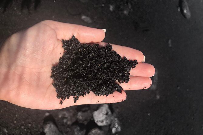 Hilo Shore Excursion: Safari Lava Caves, Falls and Highlights - Entering the Lava Caves at Kaumana Park