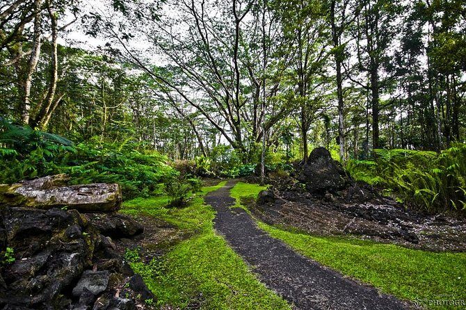 Hilo Shore Excursion: Safari Lava Caves, Falls and Highlights - Lava Tree State Park: Nature’s Molten Sculptures