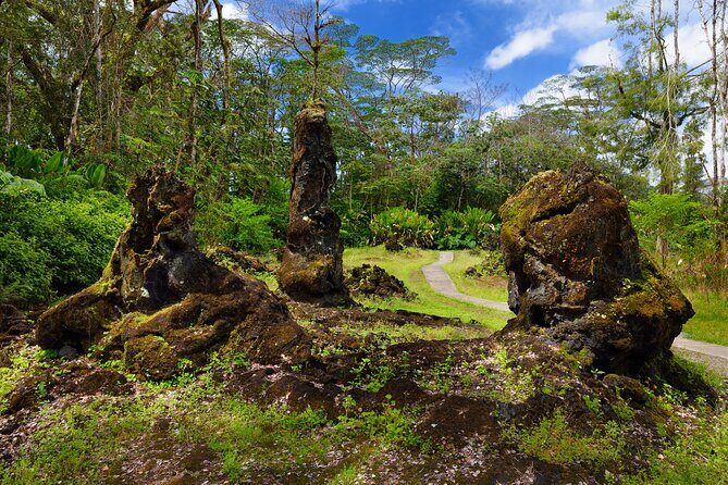 Hilo Shore Excursion: Safari Lava Caves, Falls and Highlights - Pohoiki Bay: New Black Sand Beach