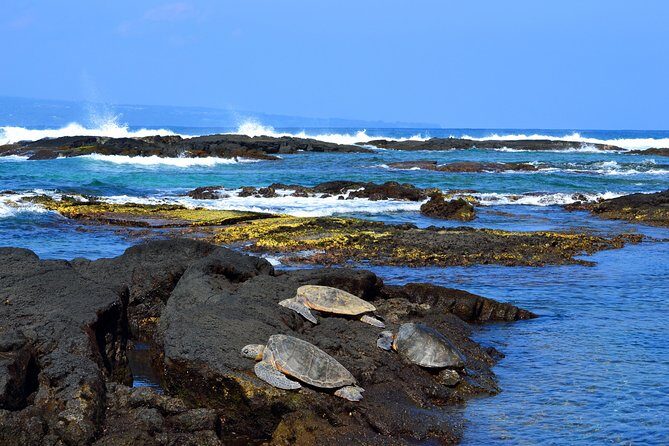 Hilo Shore Excursion: Volcanoes National Park and Rainbow Falls - What Makes This Tour Stand Out?