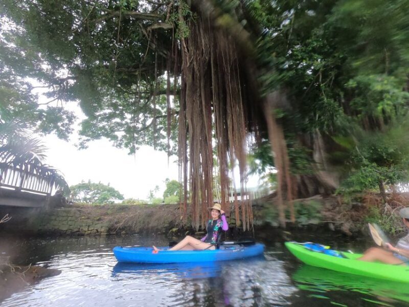 Hilo: Wailoa River to King Kamehameha Guided Kayaking Tour - FAQ