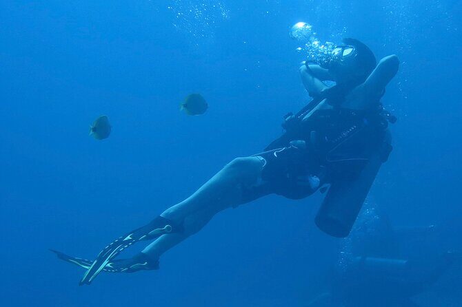 Hilo's Remote Tropical Reef 2 Tank Boat Dive - Final Thoughts: Is It Worth It?