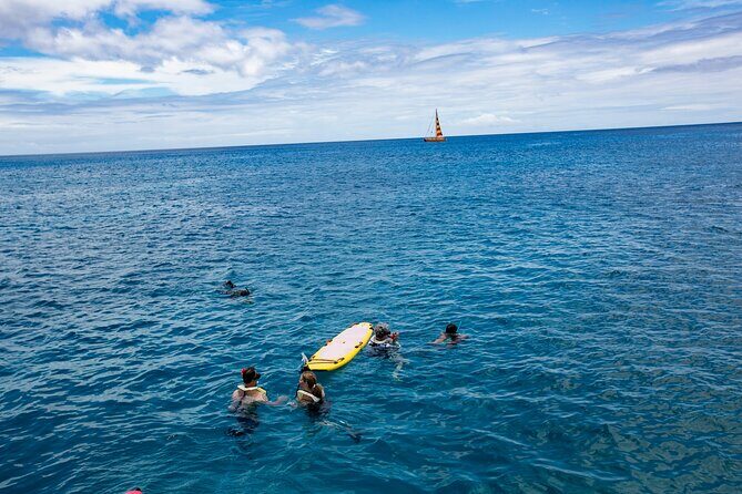 Hilton Hawaiian Village Turtle Snorkel with Optional Lunch - What Could Be Better