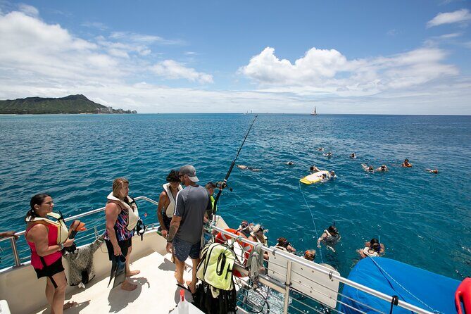Hilton Hawaiian Village Turtle Snorkel with Optional Lunch - Who Should Consider This Tour?