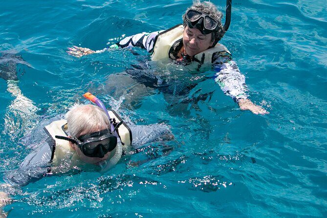 Hilton Hawaiian Village Turtle Snorkel with Optional Lunch - FAQs