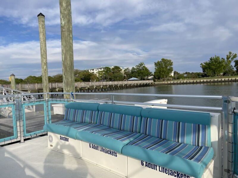 Hilton Head: 2 Hour Large Group Tour (7-20 people) - Final Thoughts: Who Should Consider This Tour?