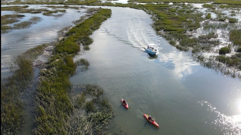 Hilton Head: 2 Hour Private Dolphin Tour - Final Thoughts