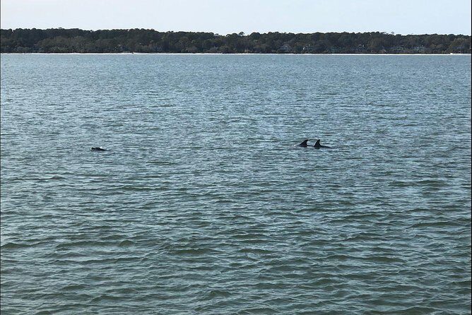 Hilton Head Crabbing Expedition Boat Cruise - Exploring the Hilton Head Crabbing Expedition Boat Cruise: A Deep Dive