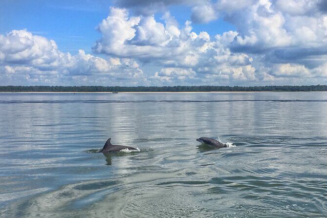 Hilton Head Dolphin Tour with Stop at Disappearing Island - The Experience for Different Types of Travelers