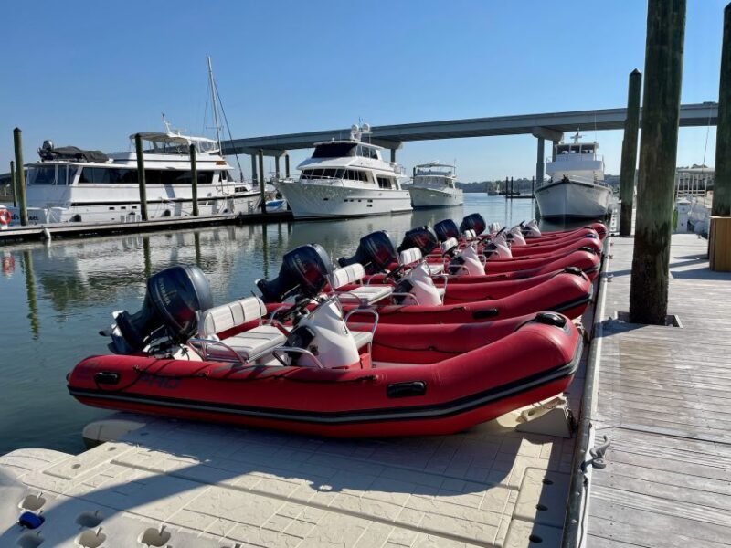 Hilton Head: Guided Disappearing Island Tour by Mini Boat - Wildlife & Scenic Cruising
