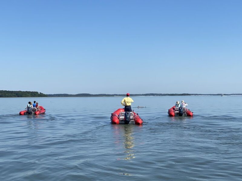 Hilton Head: Guided Disappearing Island Tour by Mini Boat - The Disappearing Island Experience