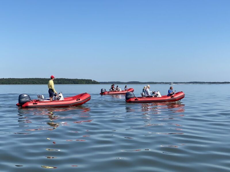 Hilton Head: Guided Disappearing Island Tour by Mini Boat - Pricing & Value