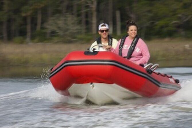 Hilton Head Guided Dolphin Watching & Sightseeing Tour via Mini Boat - The Experience in Detail