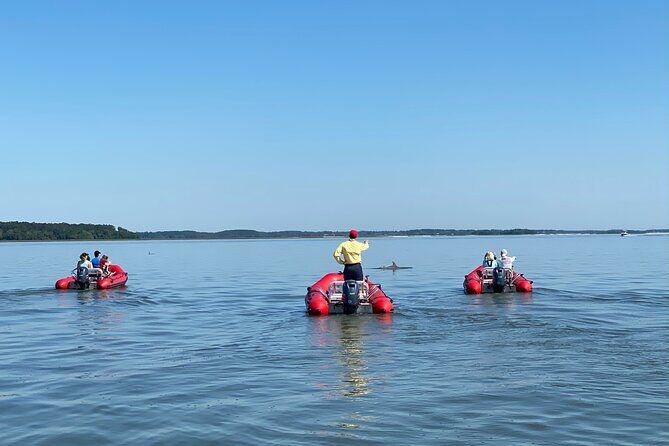 Hilton Head Guided Dolphin Watching & Sightseeing Tour via Mini Boat - Who Is This Tour Best For?