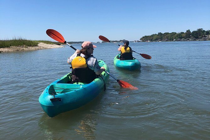 Hilton Head Guided Kayak Eco Tour - Exploring Hilton Head’s Waterways on a Guided Kayak Eco Tour
