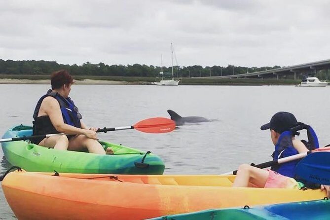 Hilton Head Guided Kayak Eco Tour - Key Points