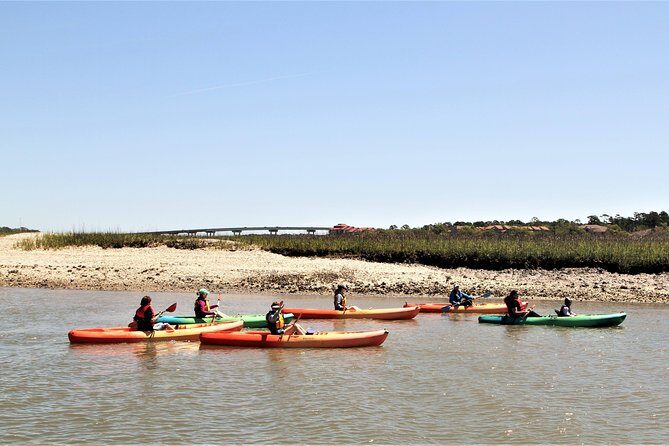 Hilton Head Guided Kayak Eco Tour - Who Should Book This Tour?