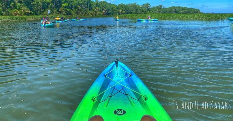 Hilton Head: Guided Kayak Sunrise or Sunset Tour - Who Will Love This Tour?