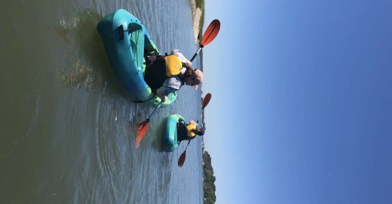Hilton Head Island: 1.5-Hour Guided Small-Group Kayak Tour - Final Thoughts