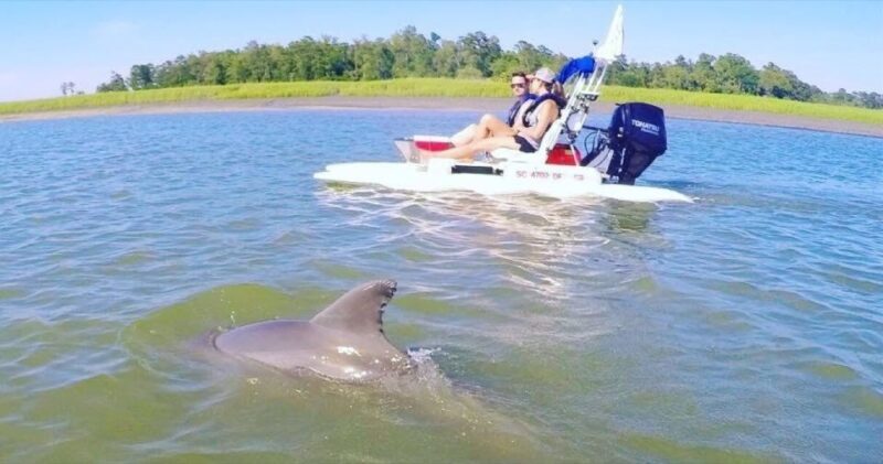 Hilton Head Island: 2-Hour Guided Creek Cat Tour - Key Points