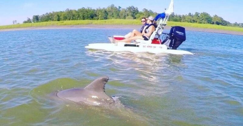 Hilton Head Island: 2-Hour Guided Creek Cat Tour - The Itinerary Unpacked