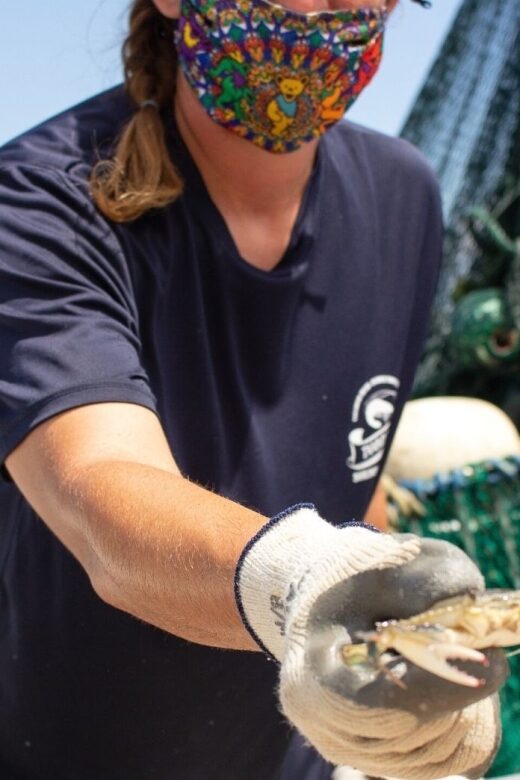 Hilton Head Island: Crabbing Expedition Boat Tour - Key Points